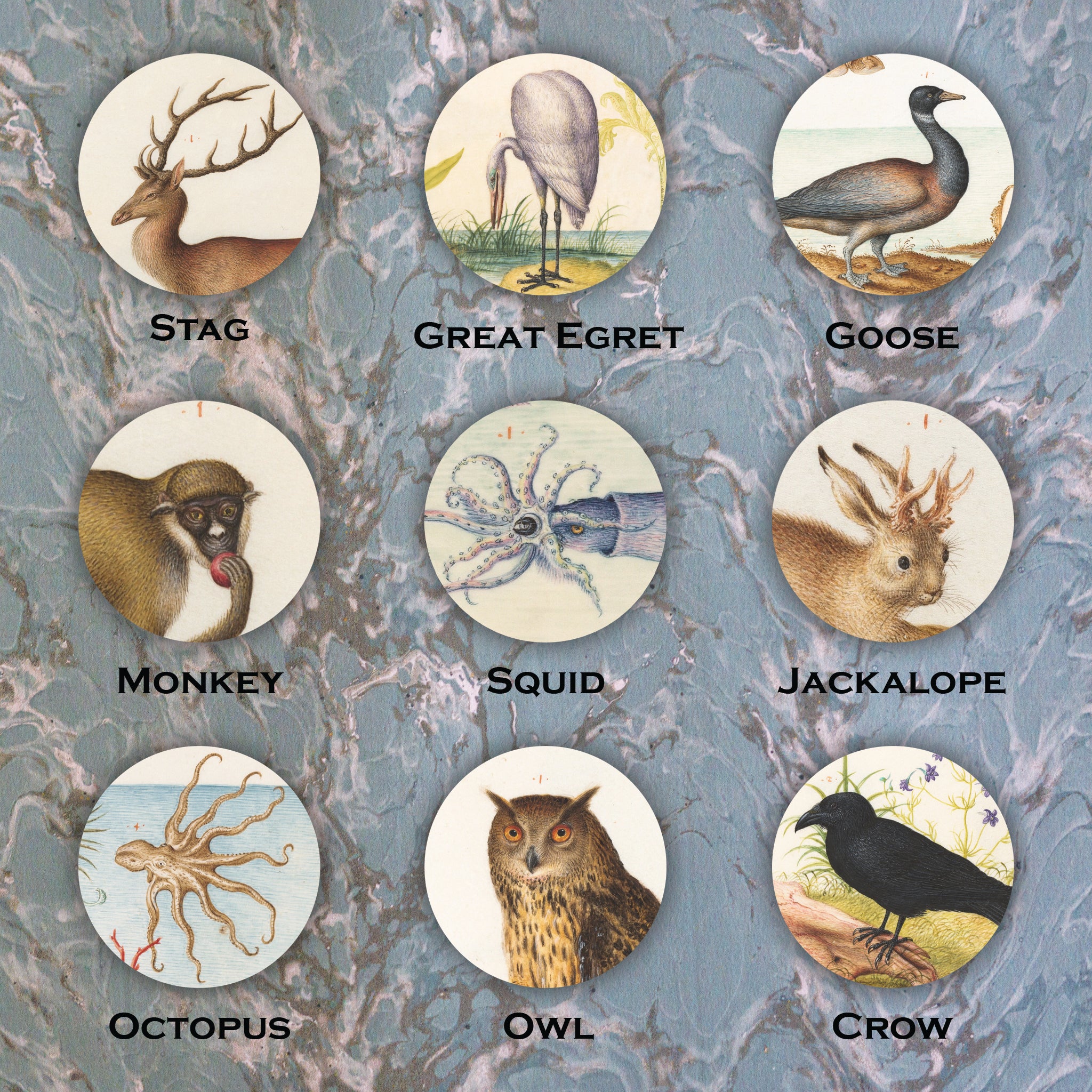 Natural History Pendant – Imaginary Artifacts